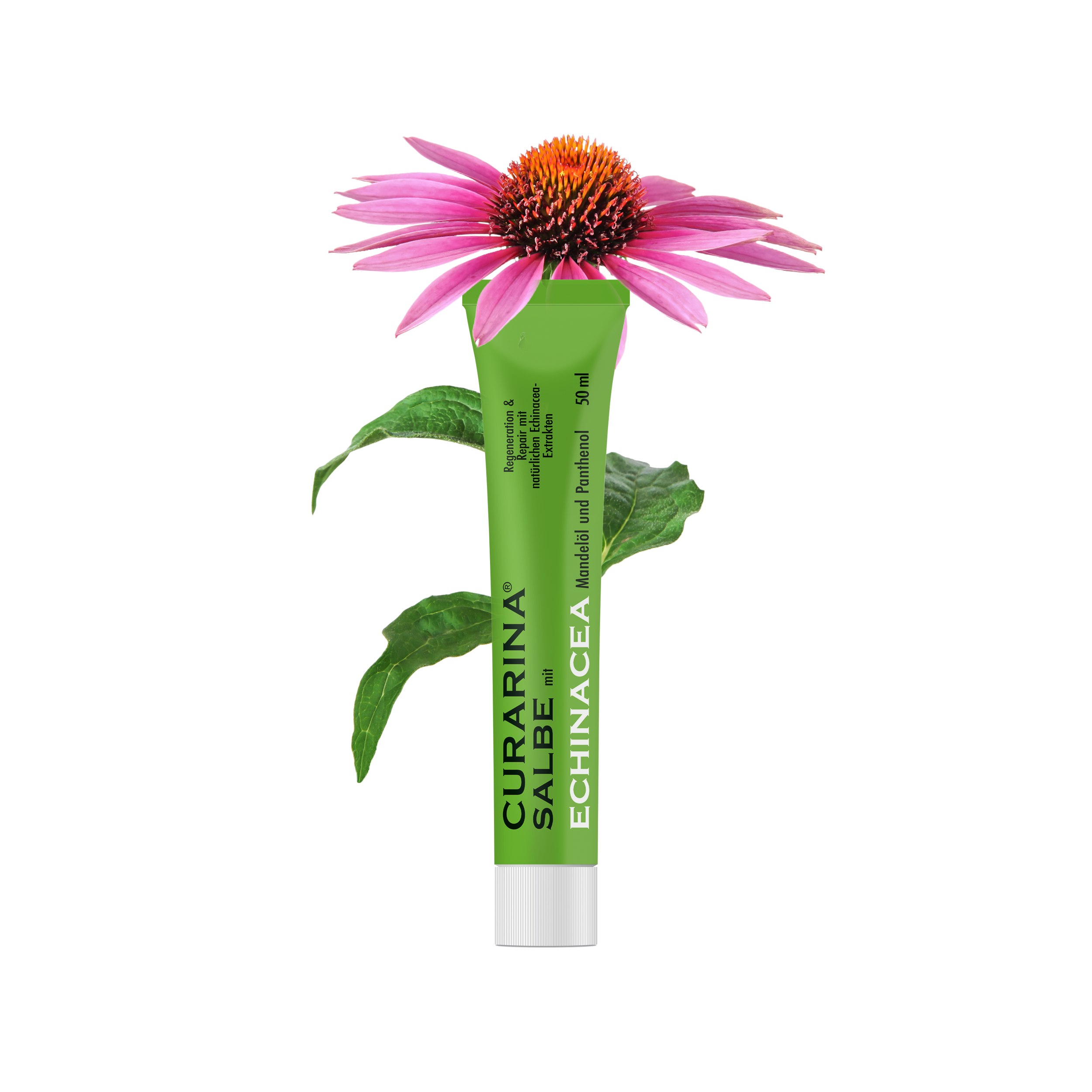 Curarina® Salbe mit Echinacea